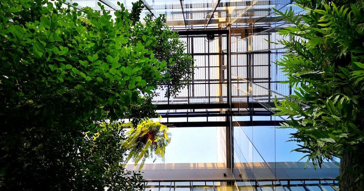 Delivering A Positive Patient Experience: The Impact Of A Holistic ...